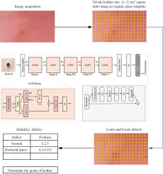 Enhancing leather defect detection with cross-stage fused attention ...