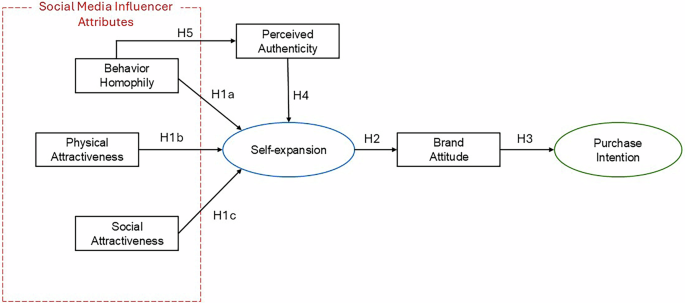 From memes to motivation: understanding how social media influencers ...